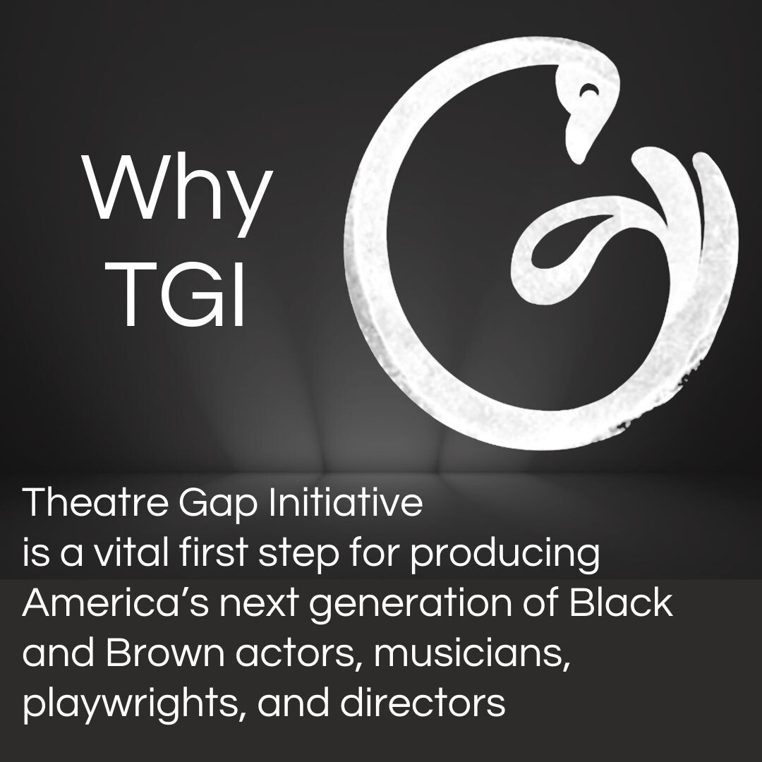 TGI Fall Fundraiser-Why TGI? | Theatre Gap Initiative