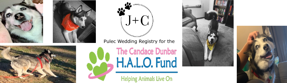 Pulec Wedding Registry for The Candace Dunbar H.A.L.O. Fund ...