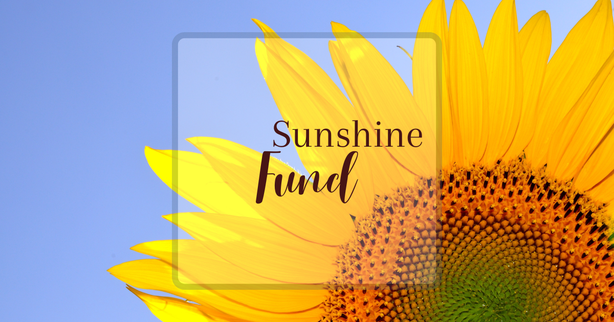 Tri-Boro Tots Sunshine Fund 2023