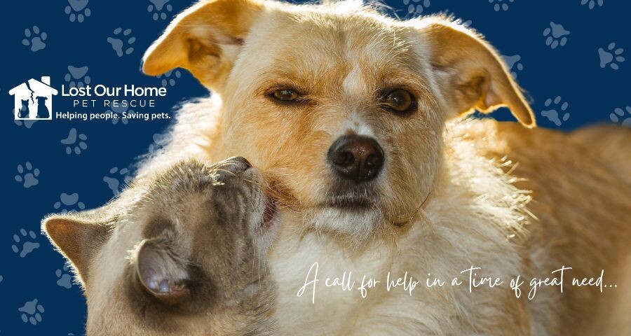 Lost Our Home Pet Rescue