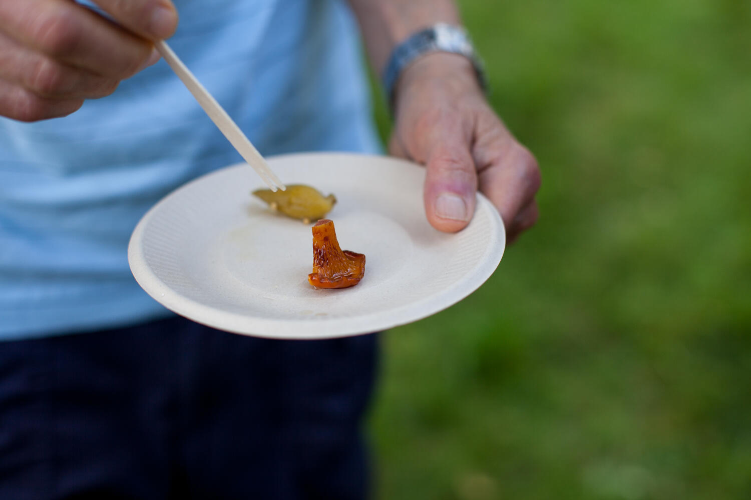 Medicinal and Culinary Uses of Mushrooms with Yael Bernard | Catskill Center for Conservation ...