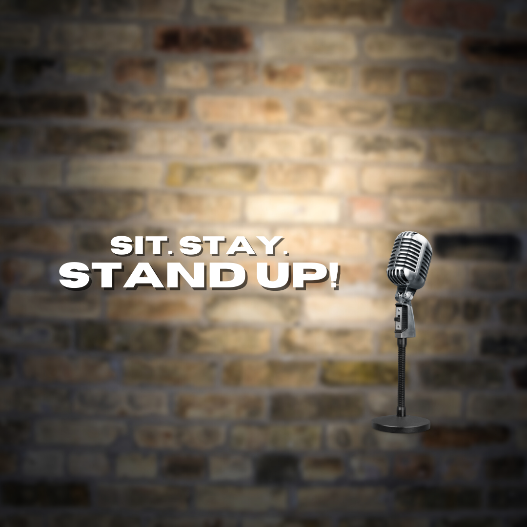 Sit. Stay. Stand Up! | Frosted Faces Foundation