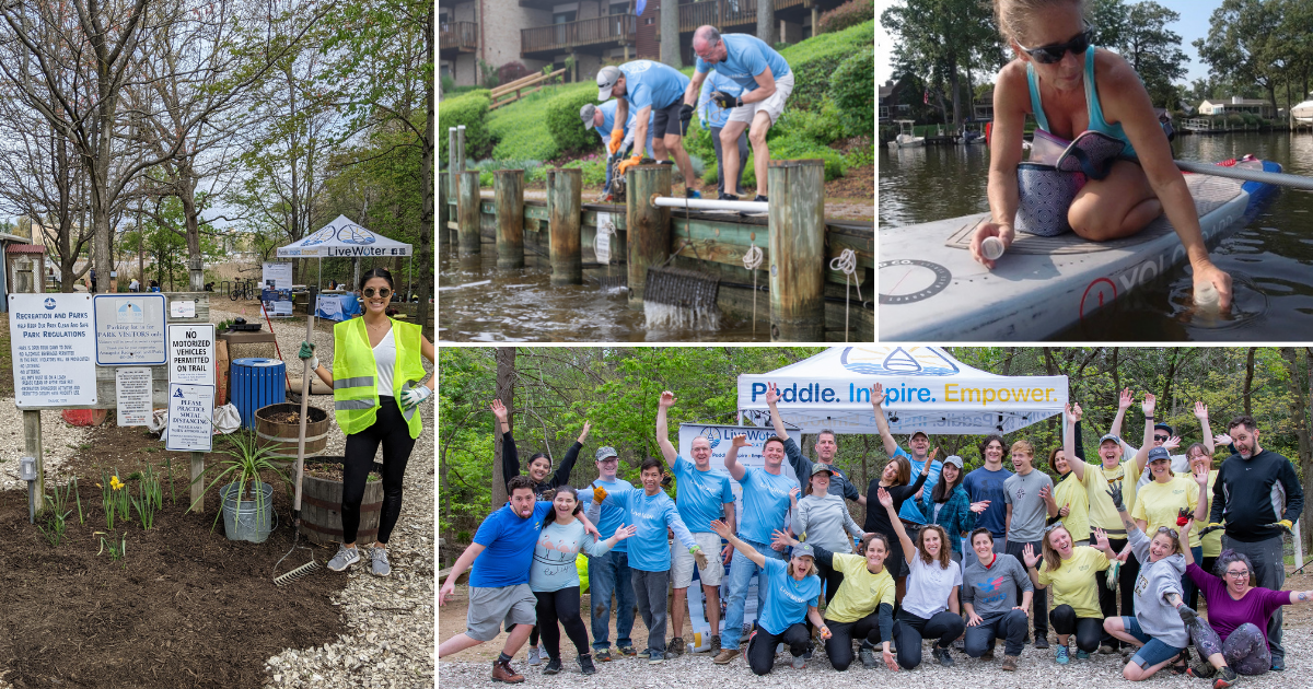 Environmental Initiatives