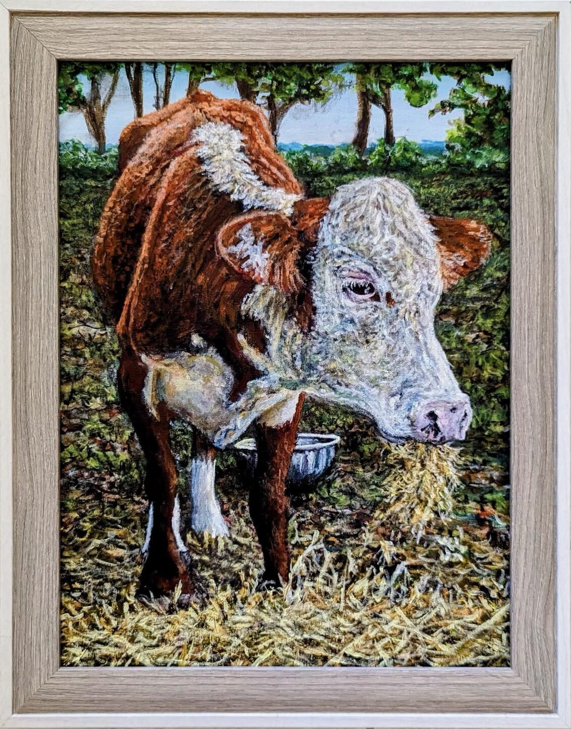 Gypsy, The Sanctuary Cow | Love Life Animal Rescue & Sanctuary Inc