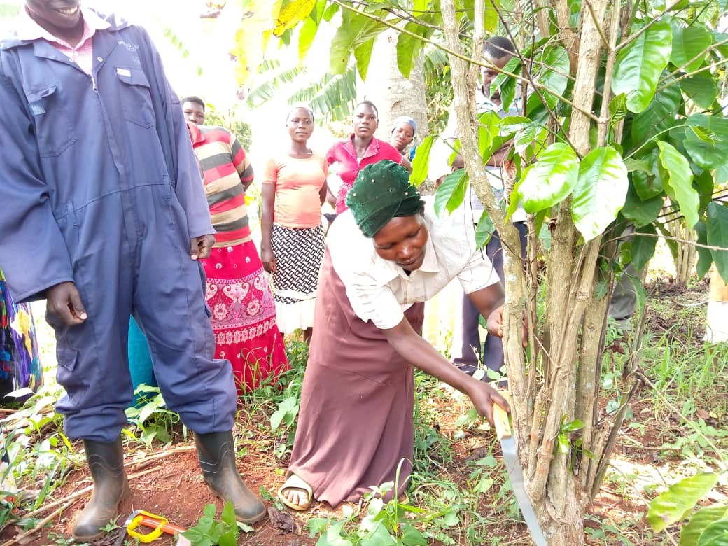 Support a Village Training Day and Provide Tools