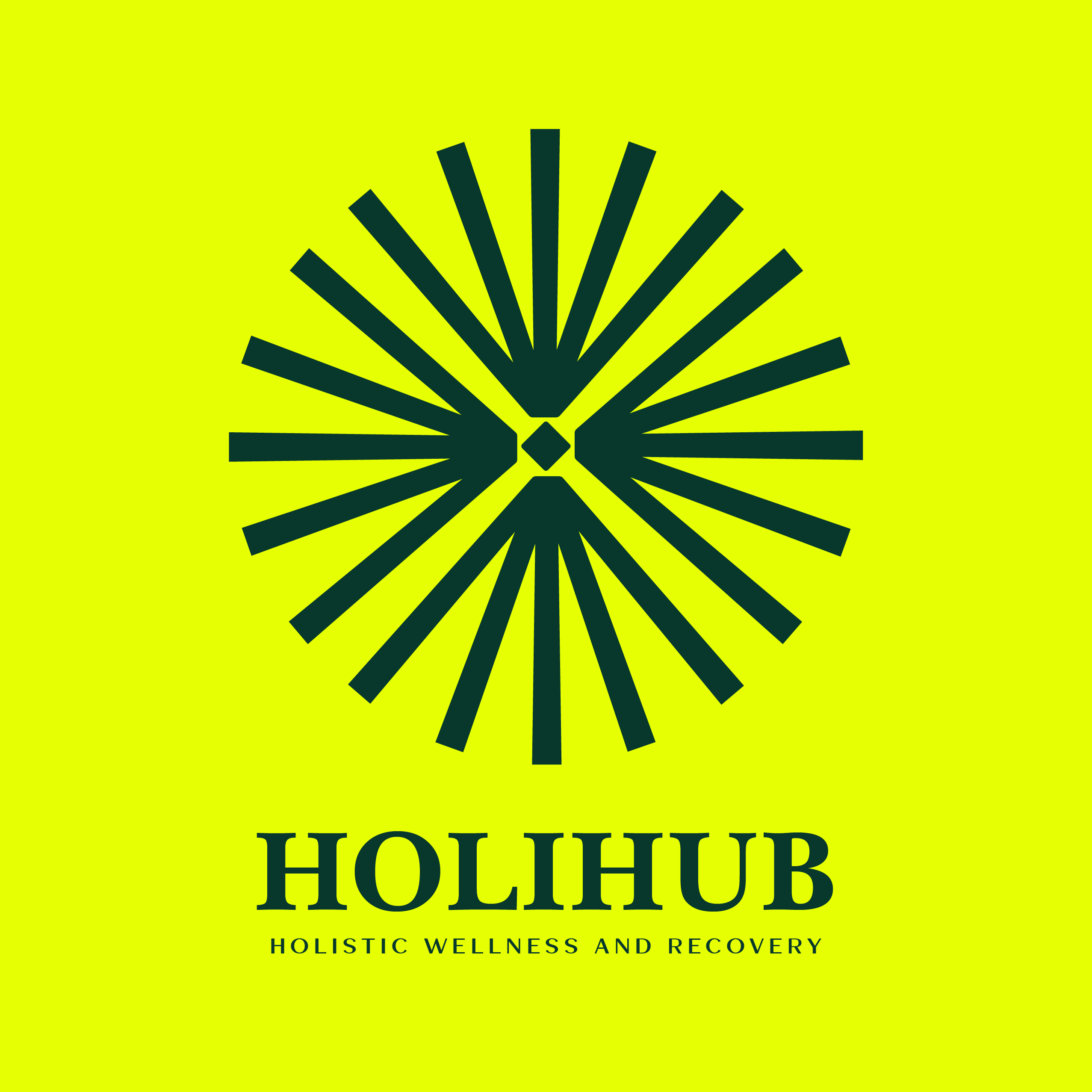 The Holistic Hub Campaign