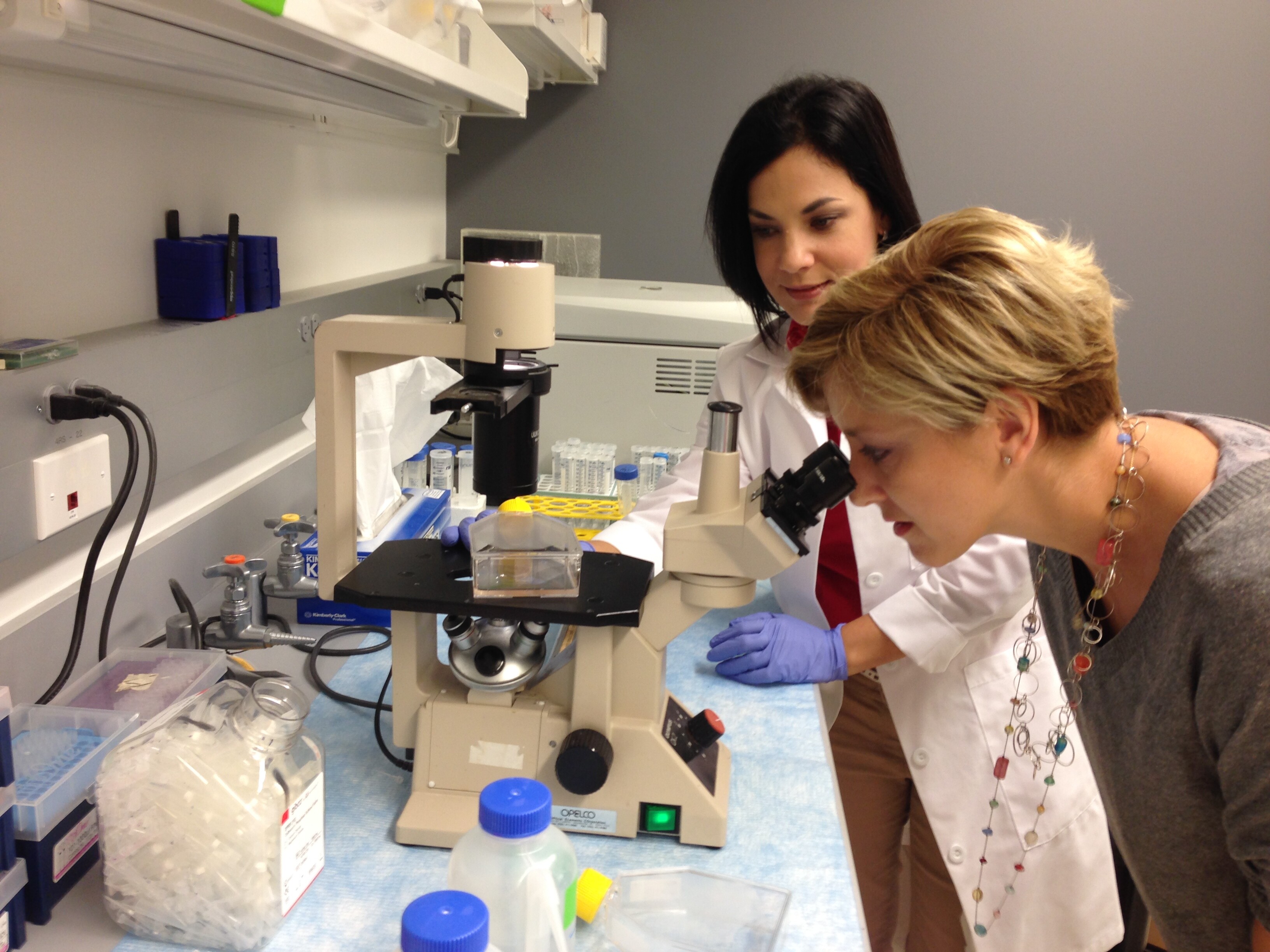 Donate to Twisted Pink