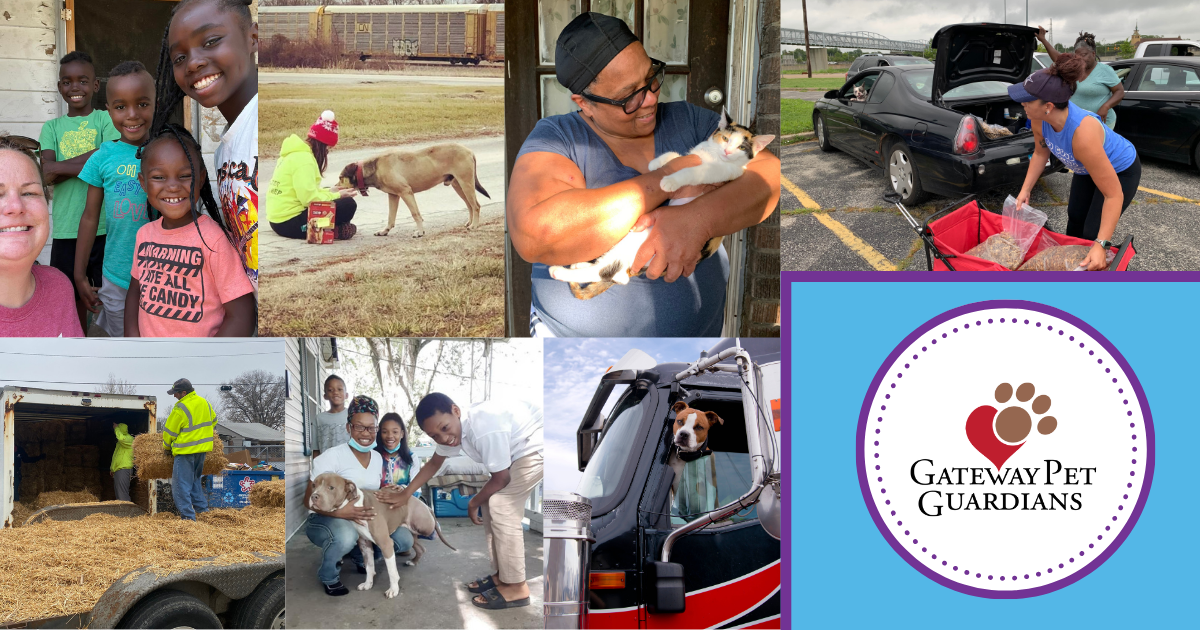 Cold Weather Animal Safety and Outreach at Gateway Pets