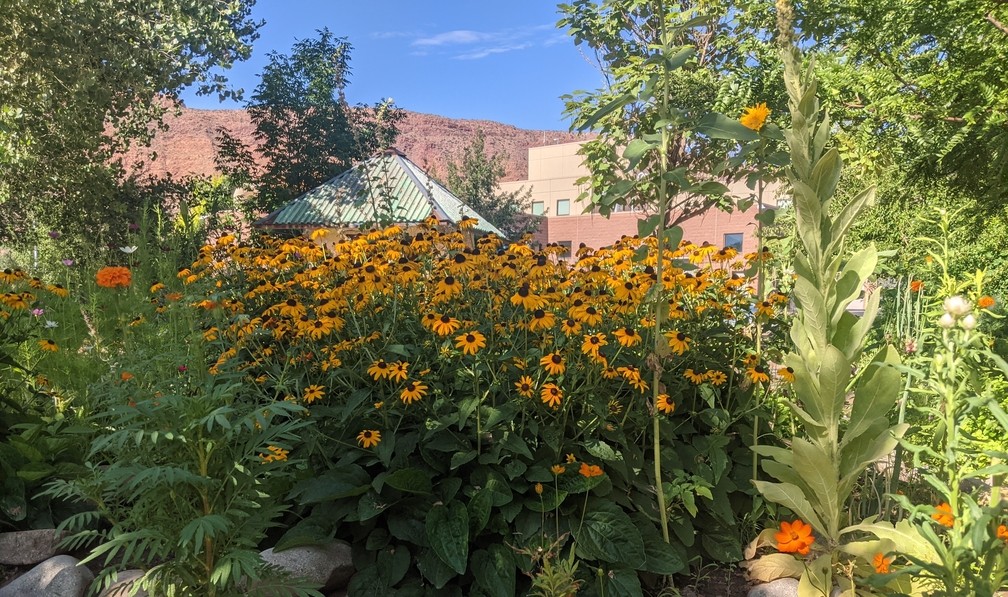 Youth Garden Project September 10 Garden Dinner Fundraiser | Youth ...