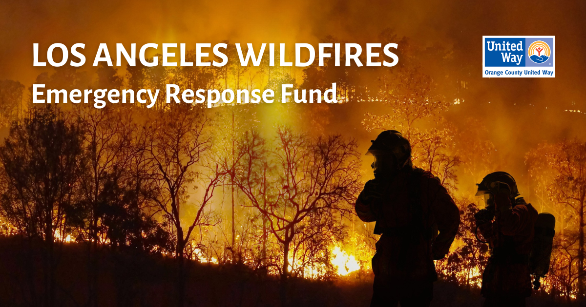 Donate to Support the Los Angeles Wildfire Response Fund