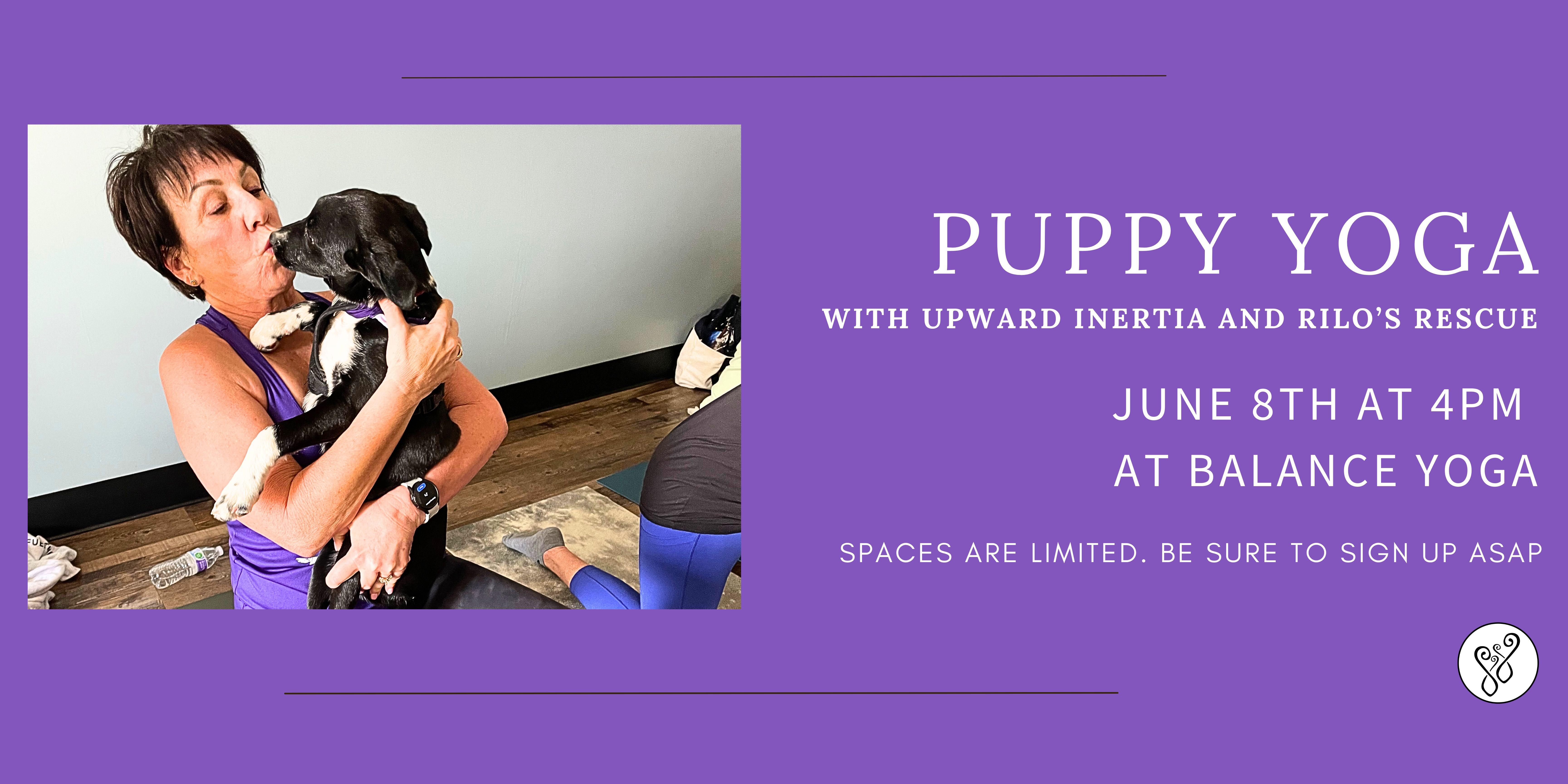 Puppy Yoga - June 8th with Upward Inertia and Rilo's Rescue | Upward ...