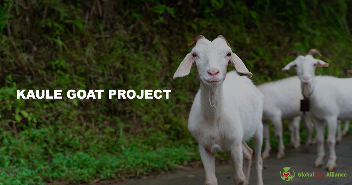 Kaule Goat Project