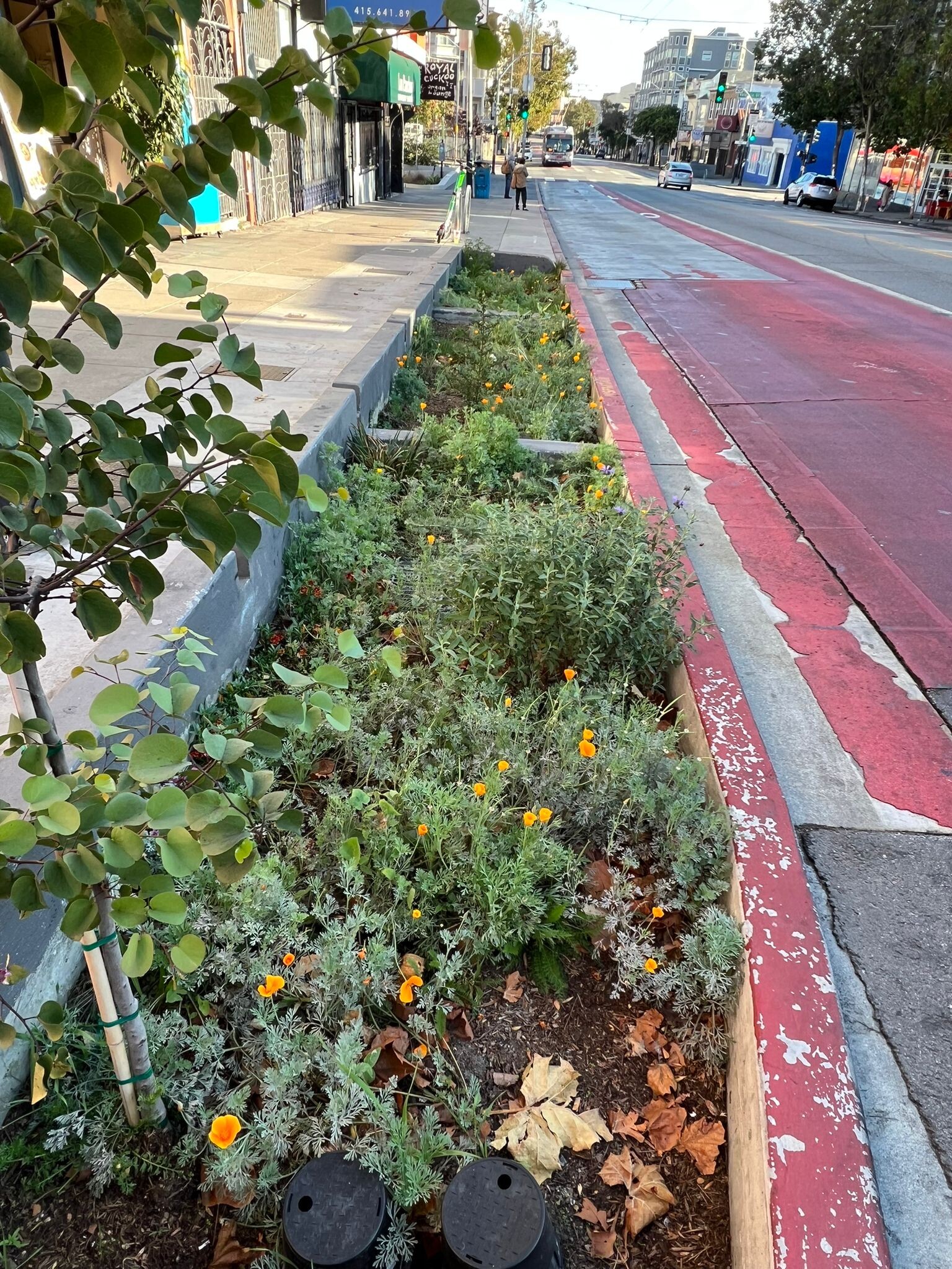 Green Projects | Greening Projects