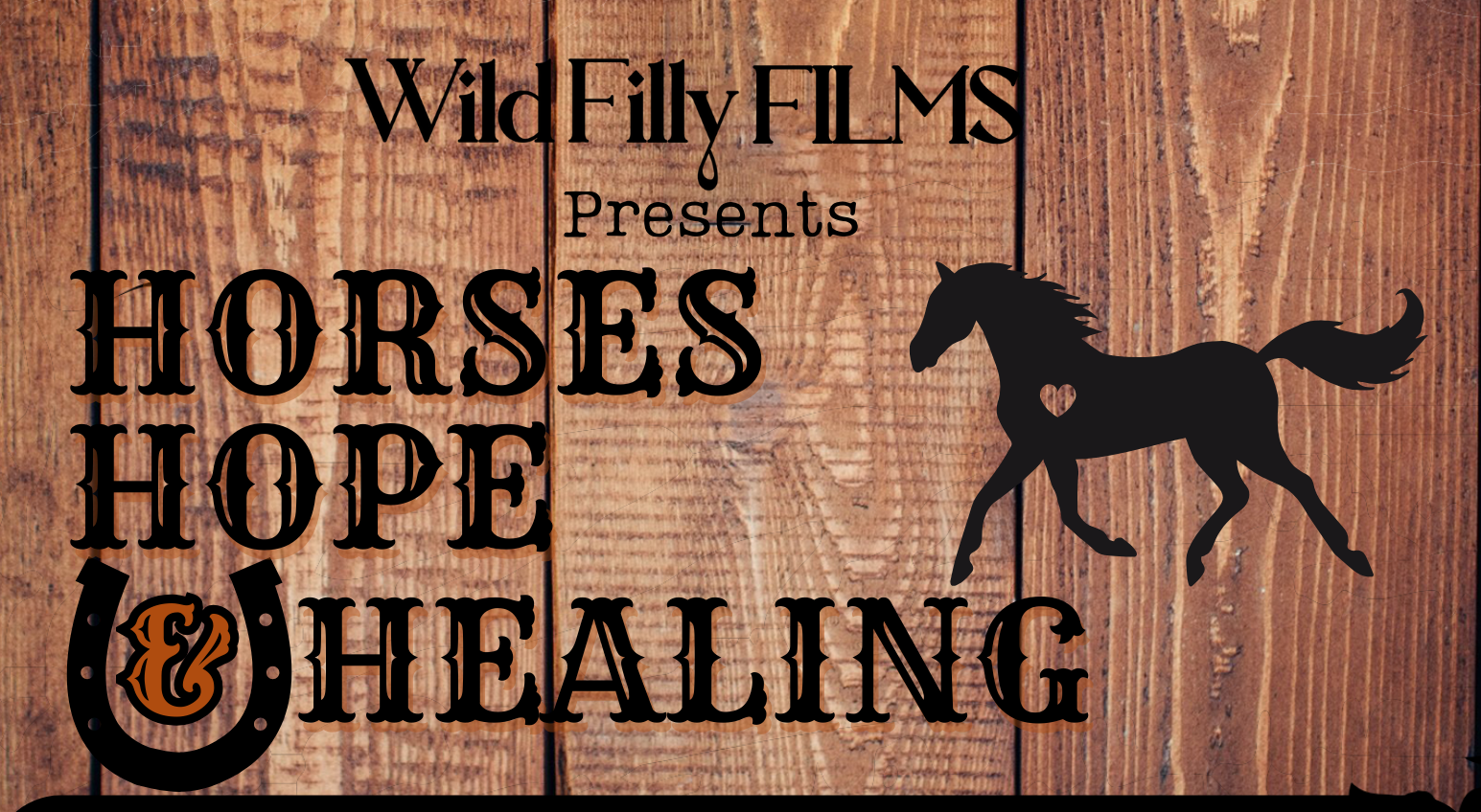 Horses, Hope & Healing | Wild Filly Films, LLC