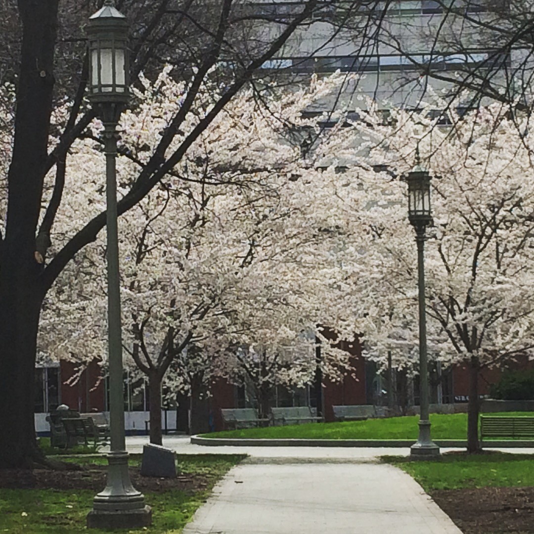 Support Keystone Research Center & PA Budget and Policy Center 2021