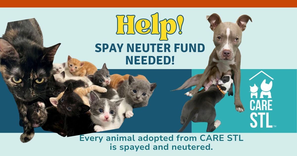 Spay & Neuter Fund | CENTER FOR ANIMAL RESCUE & ENRICHMENT OF ST LOUIS ...
