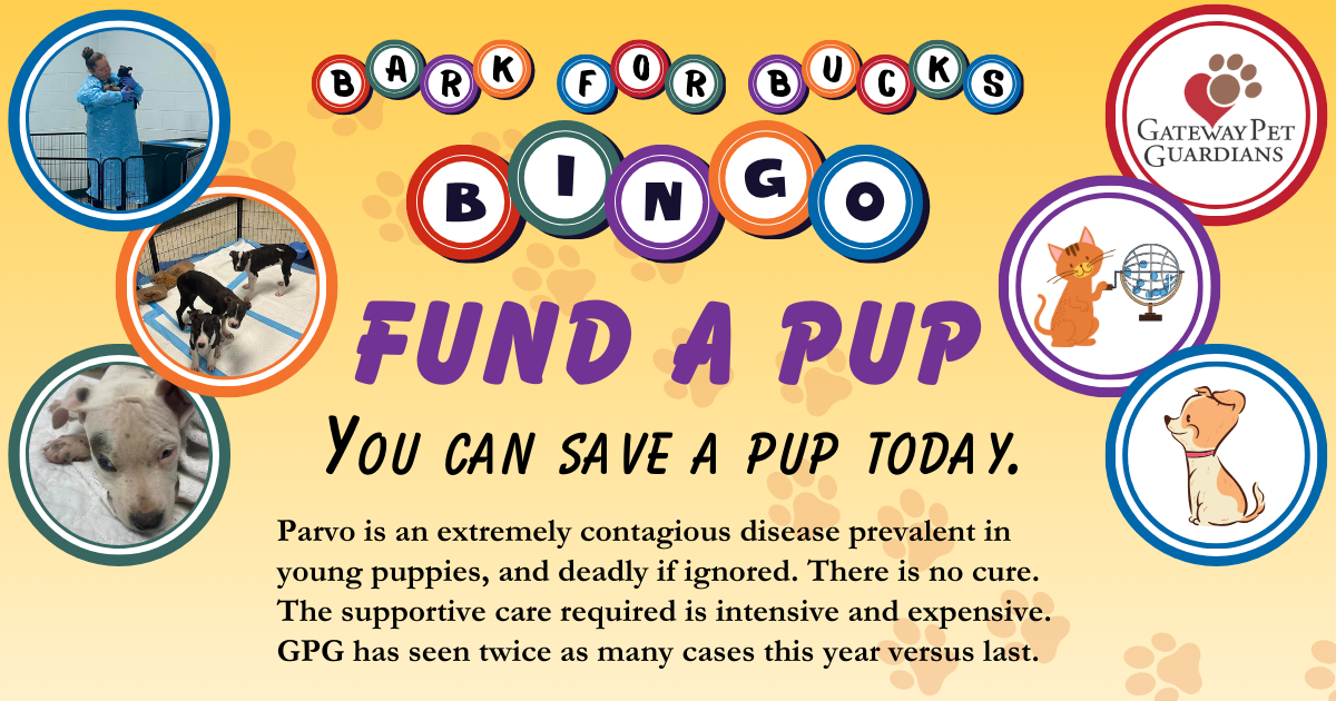Bingo 2023 - Fund A Pup