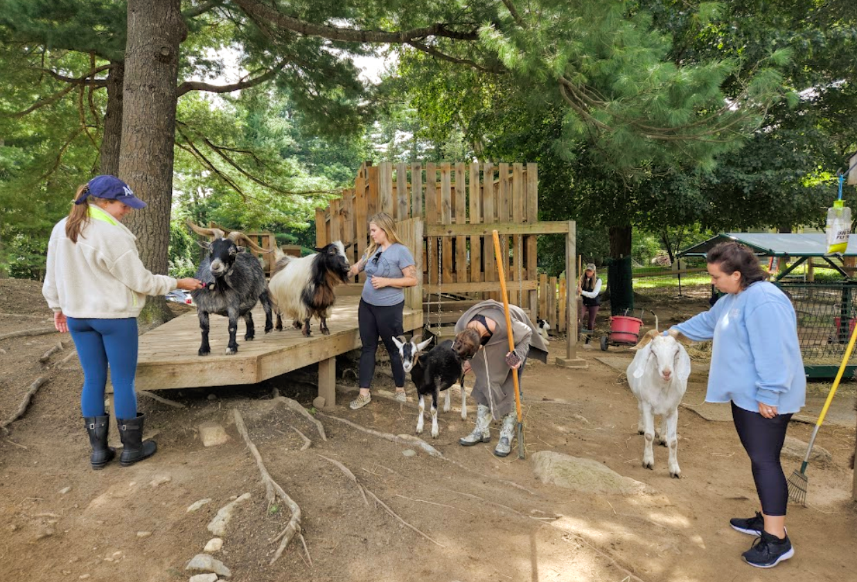 Support the Rescues at Unity Farm Sanctuary