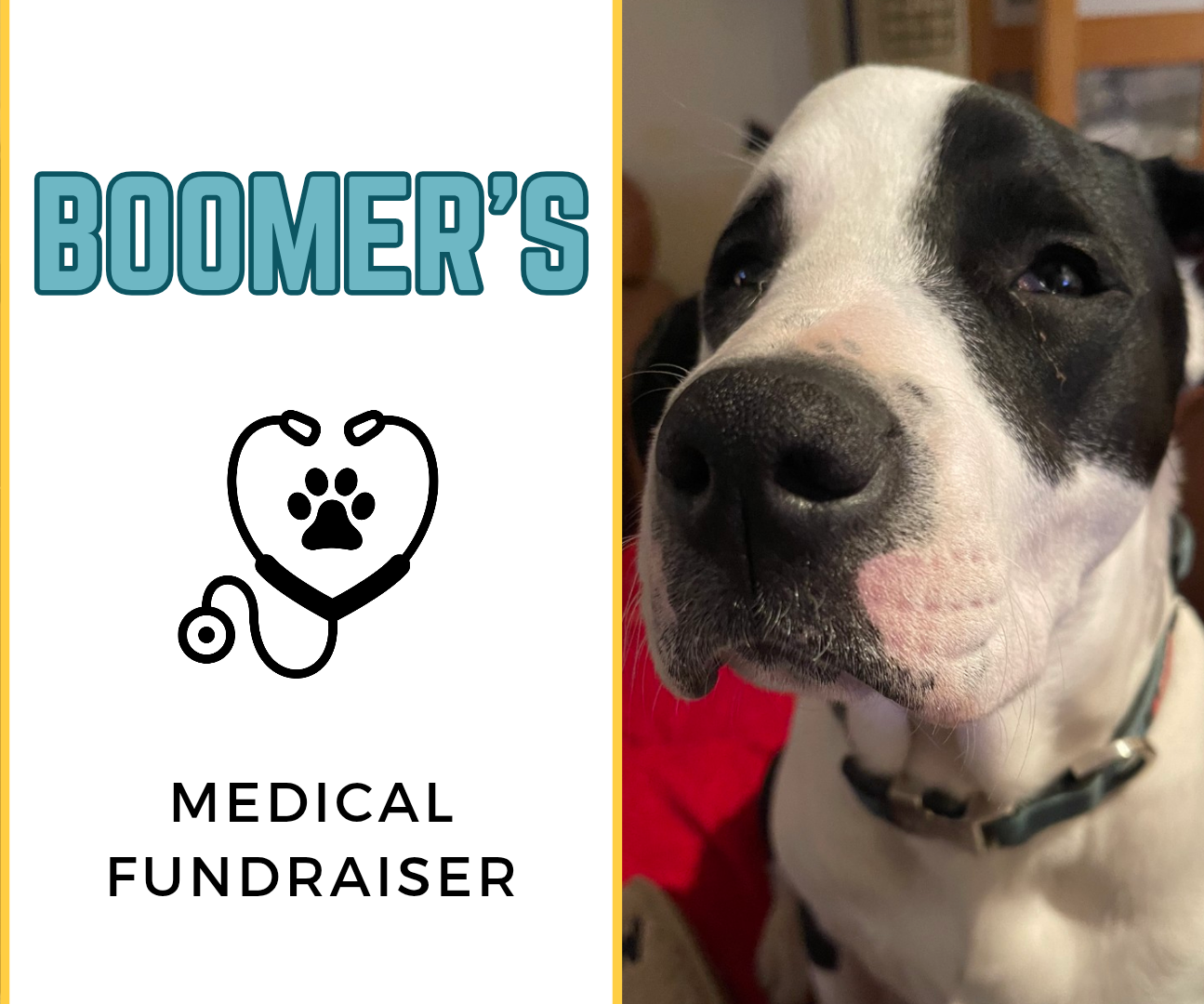 Boomer's Medical Fundraiser