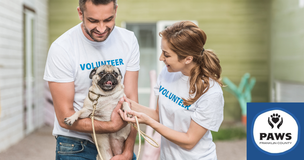 Donate to PAWS of Franklin County Texas