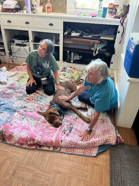 Planned Pethood Fund