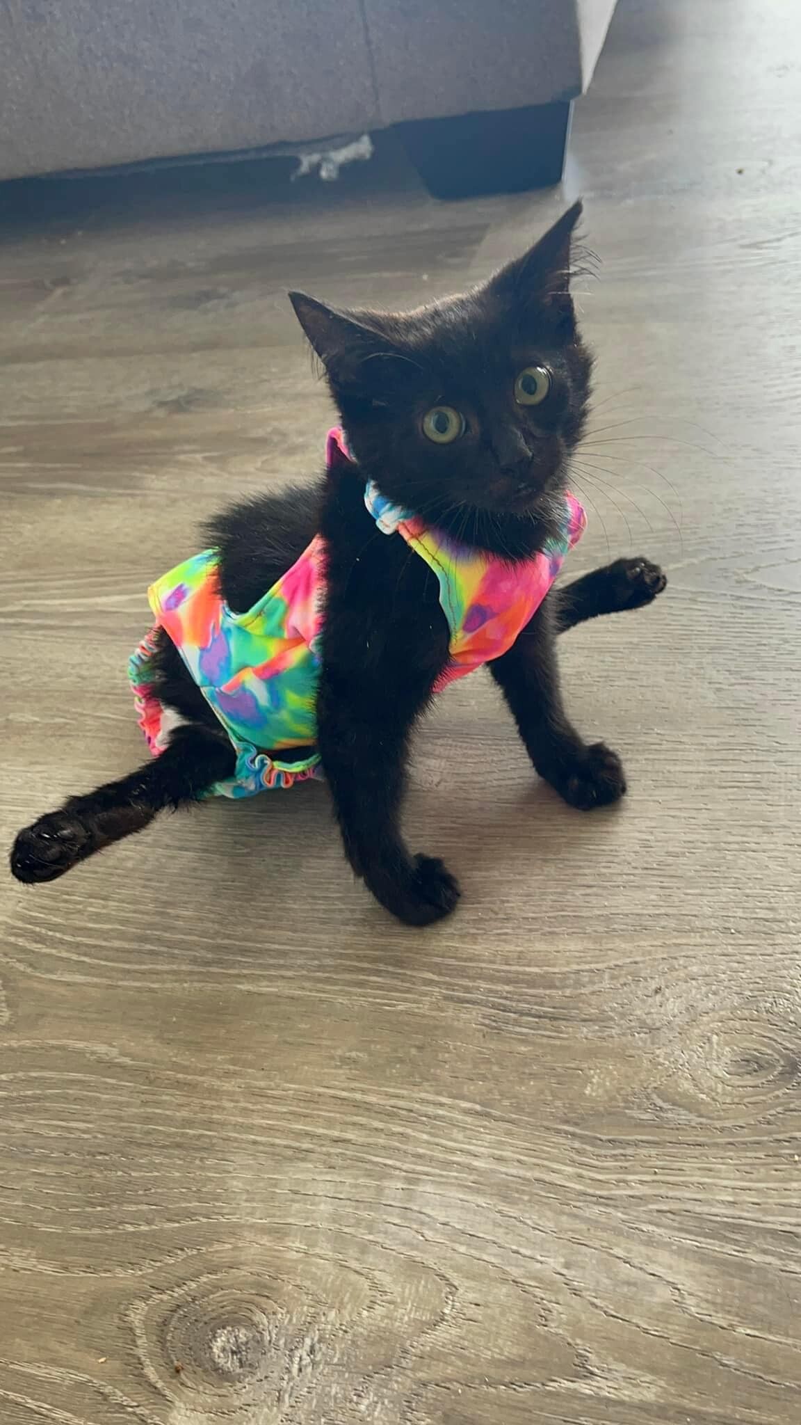 Bobby the "broken baby"