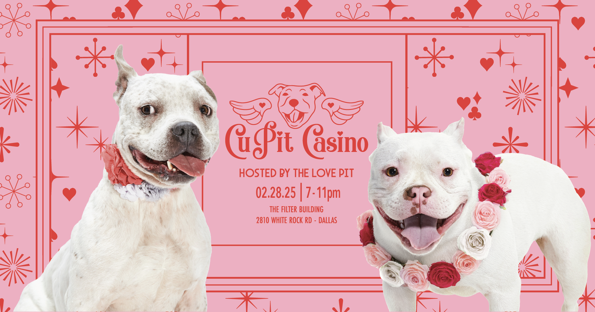 CuPit Casino 2025 | THE LOVE PIT