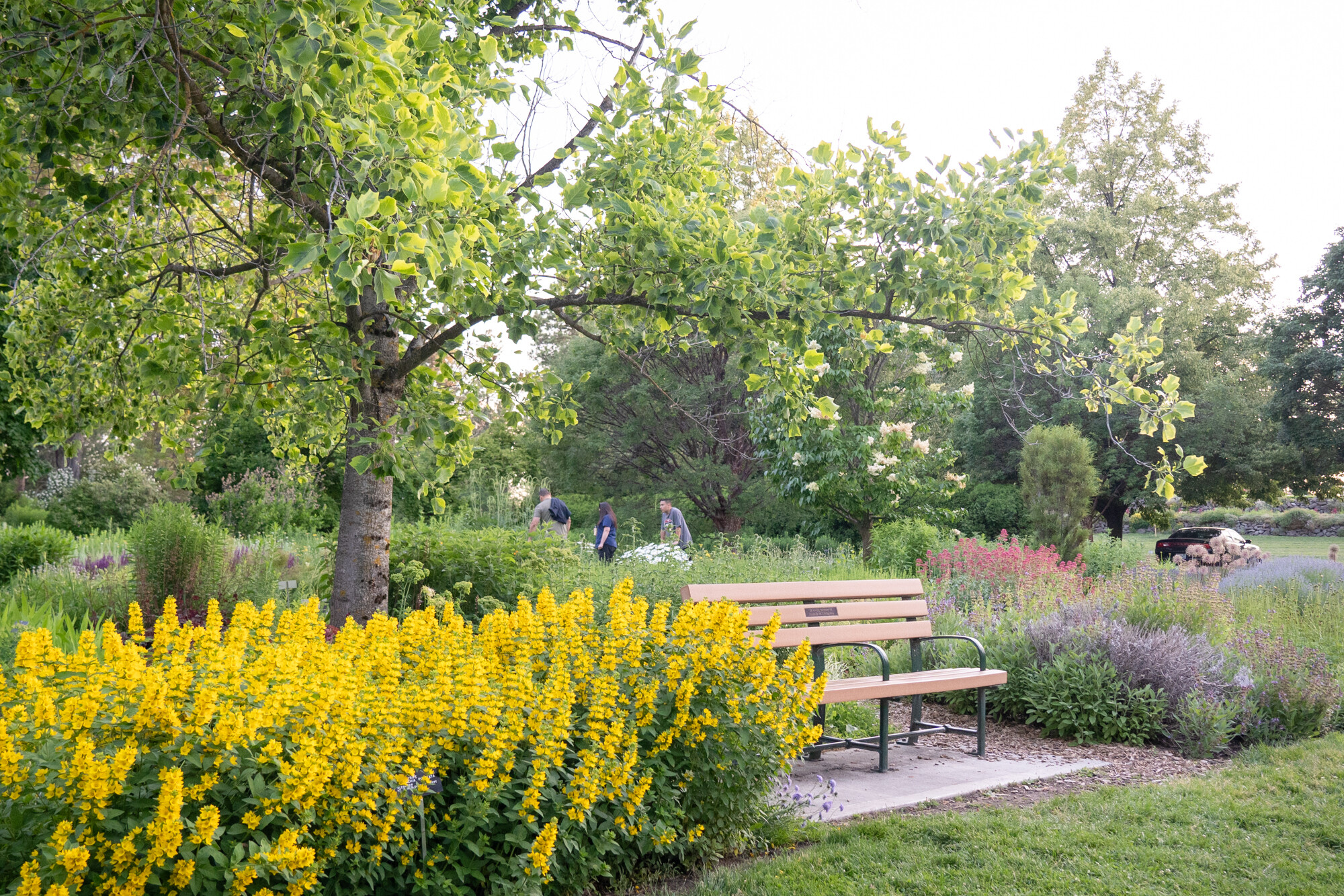 Public Memory Garden