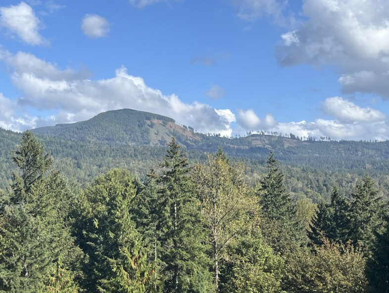 Native Plants on the Tradition Plateau | Issaquah Alps Trails Club