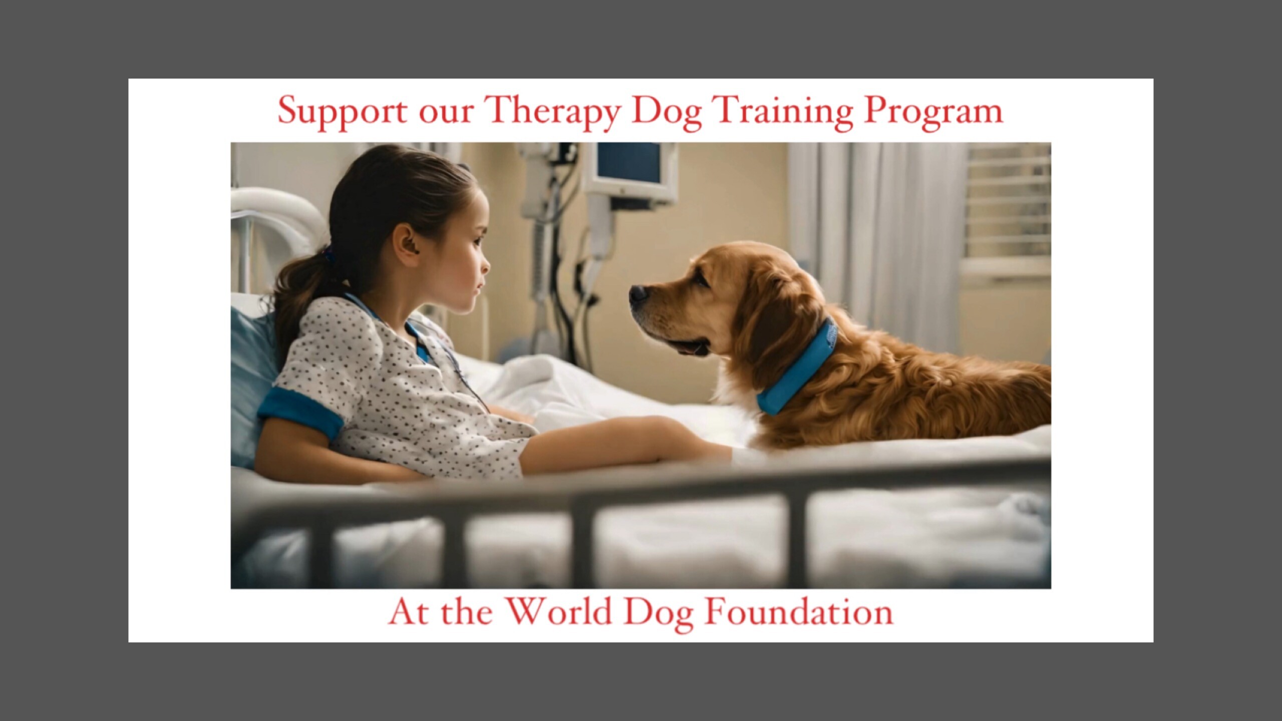 Therapy Dog Program - Online and on Oahu