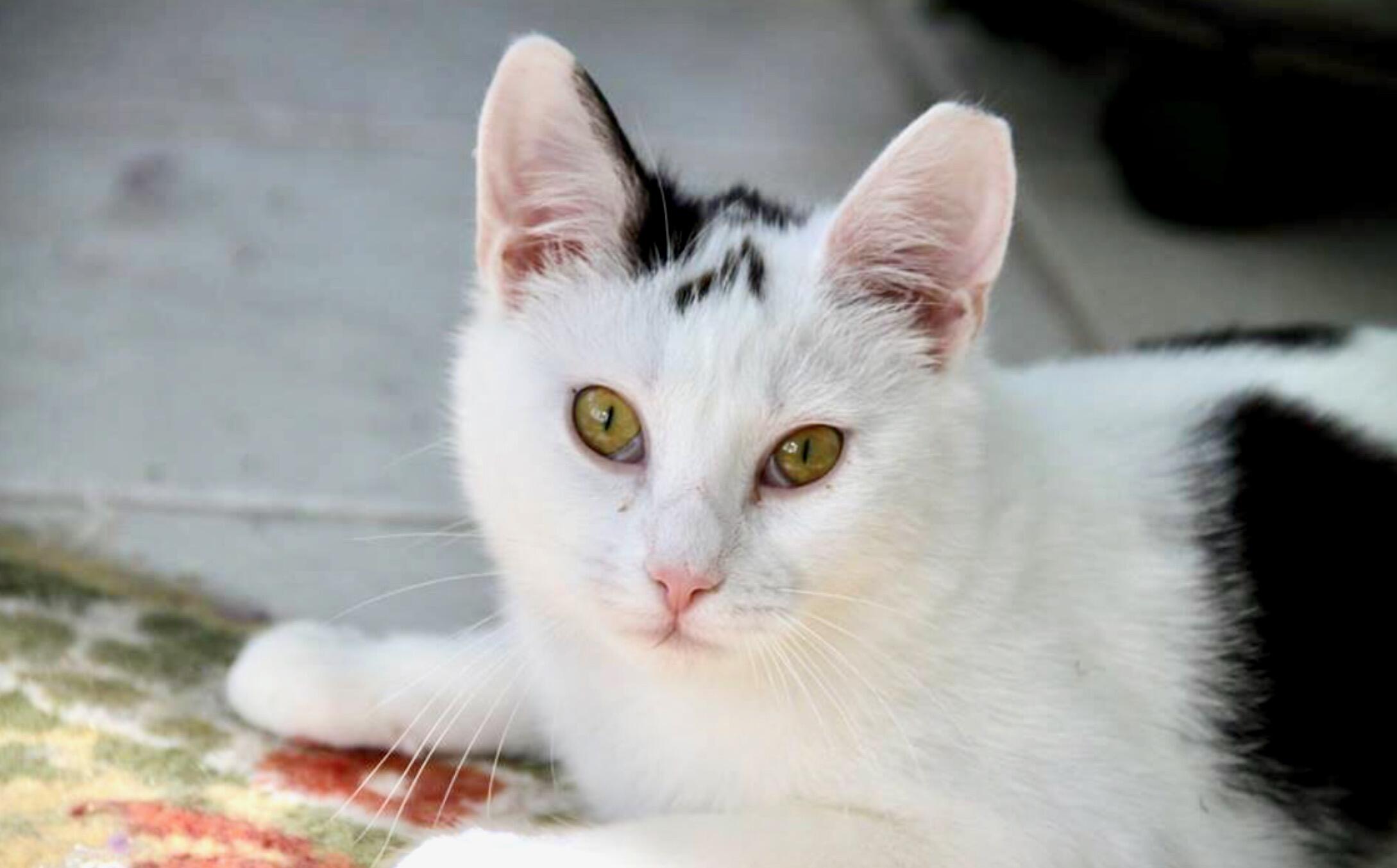 Matching March Madness Fundraiser