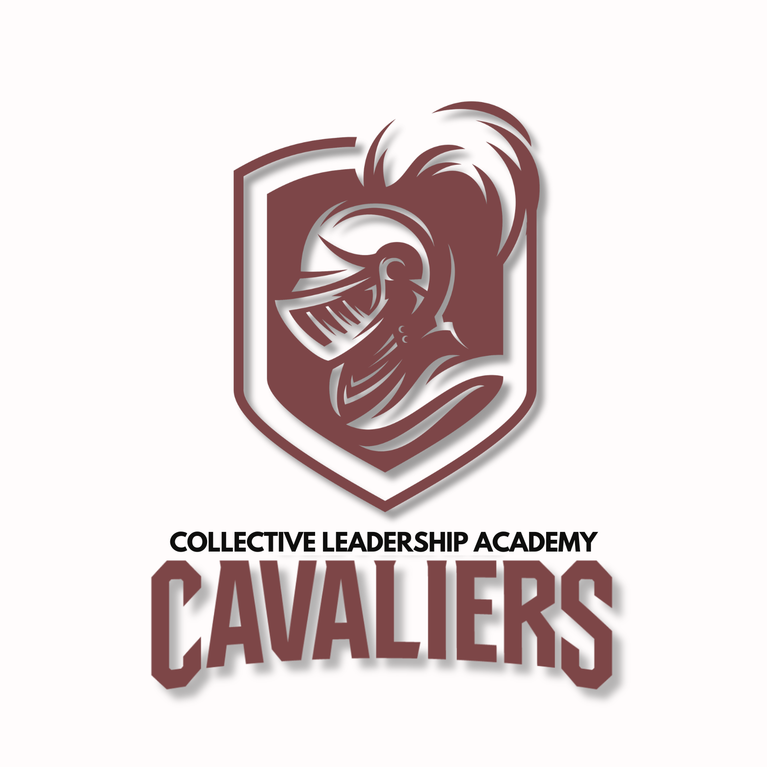 Collective Leadership Academy
