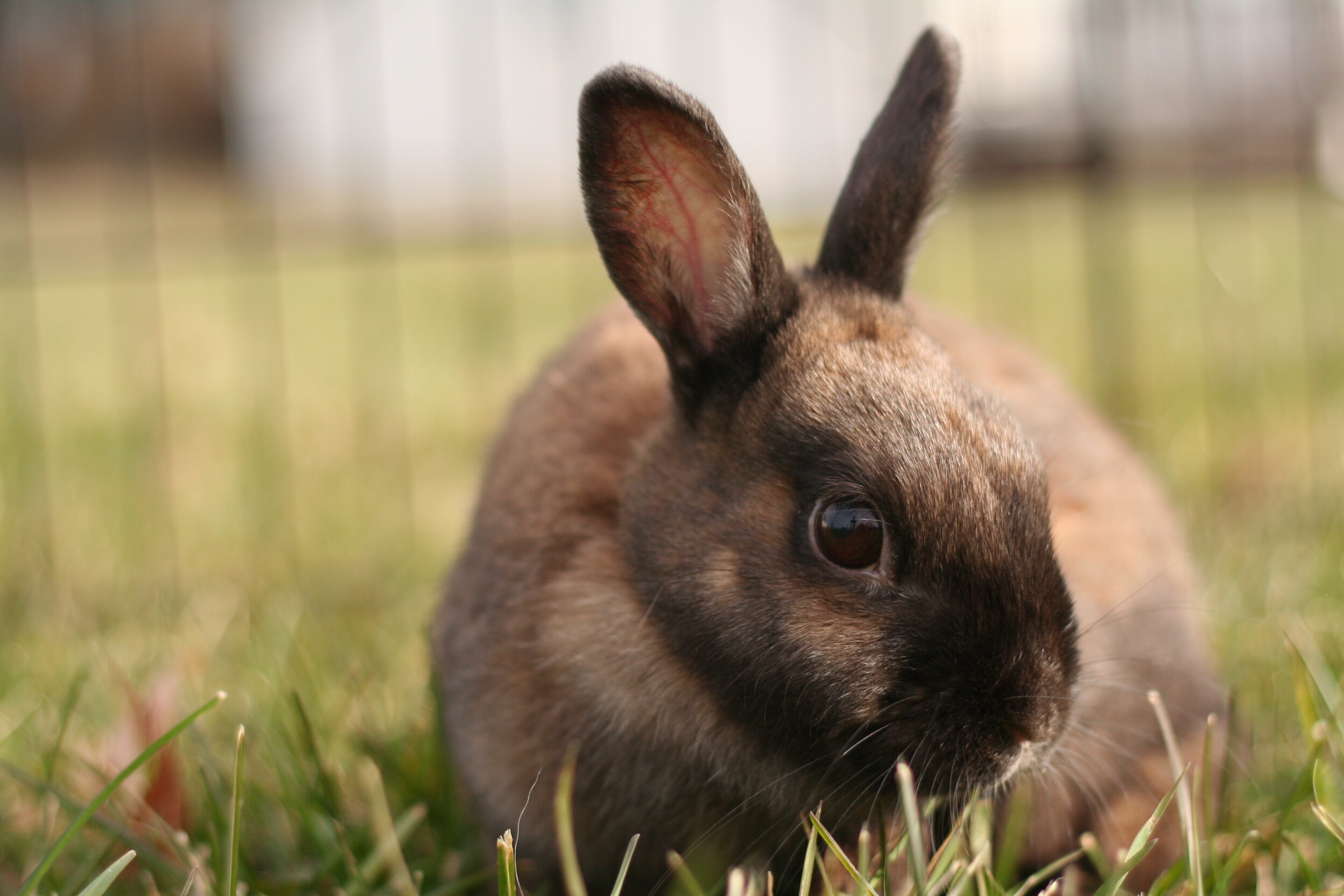 Donate to the Barn Nature Center - Environmental Education Nonprofit ...