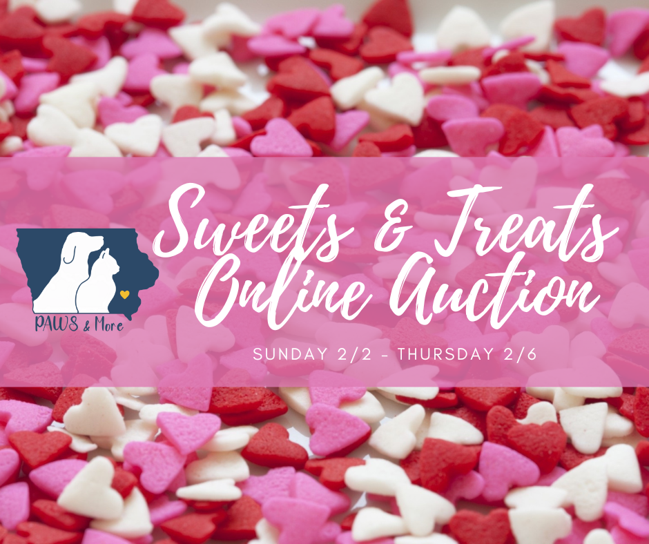 2025 Sweets & Treats