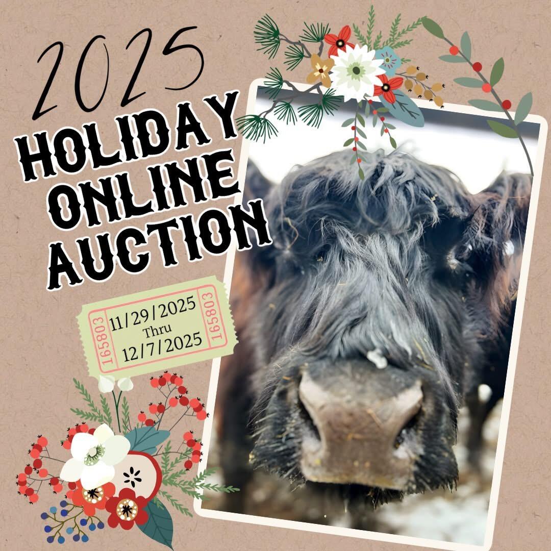 2025 Holiday Auction