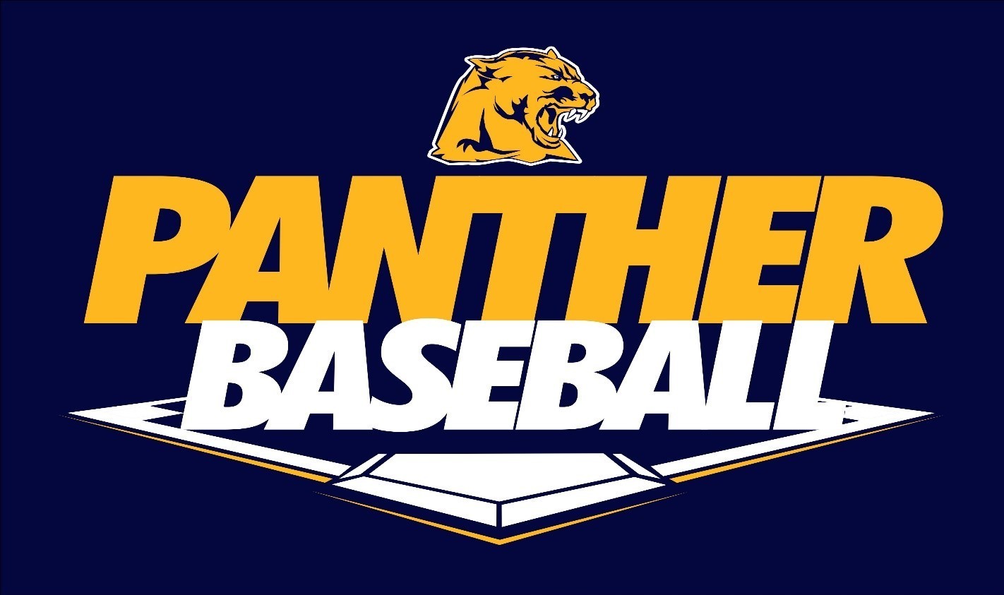 Whitmer Baseball Fundraiser