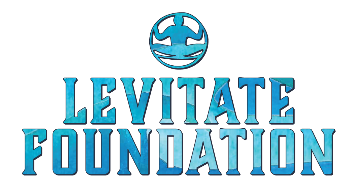 Levitate Foundation Donation Form