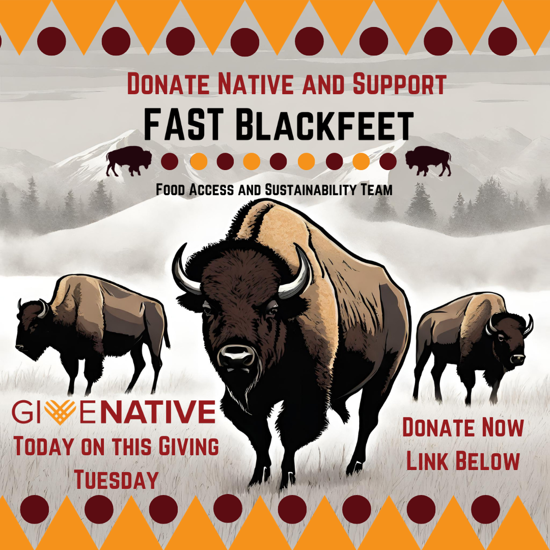 Give Native on Giving Tuesday