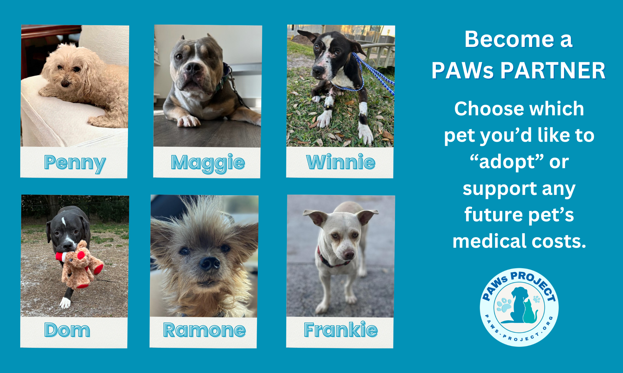 Become a PAWs Partner