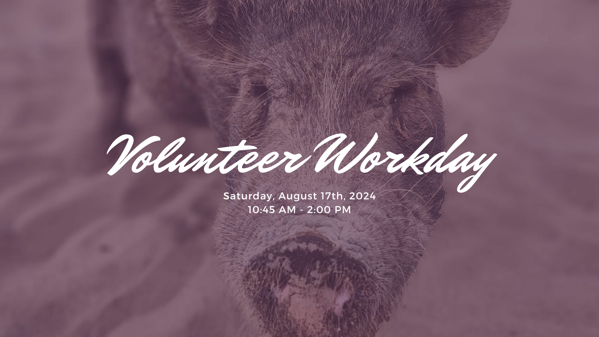 August Volunteer Workday | Cotton Branch Farm Sanctuary