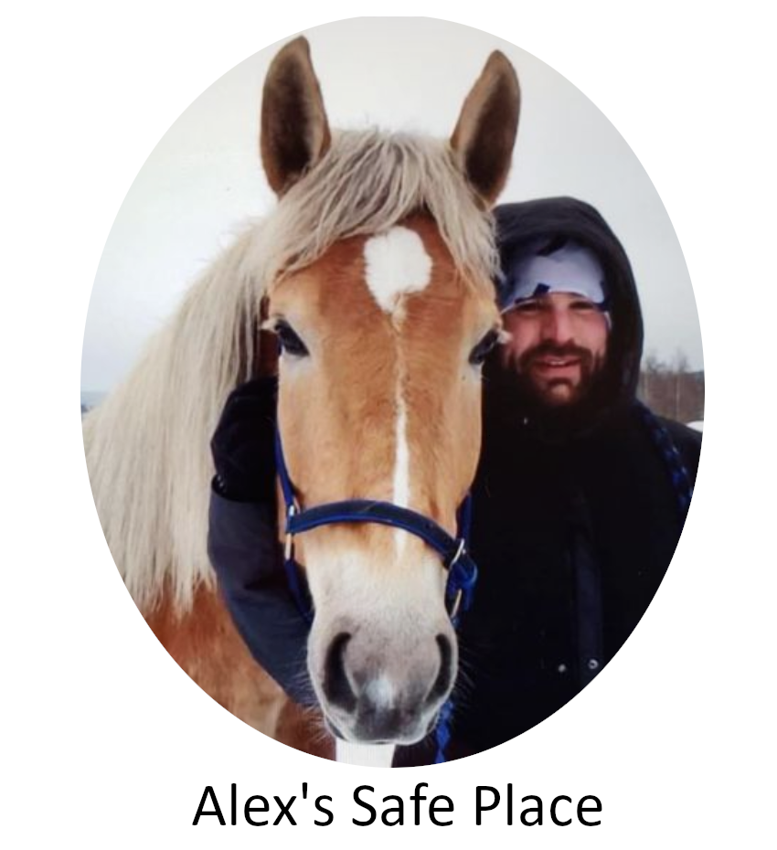 Keeping our animals safe.