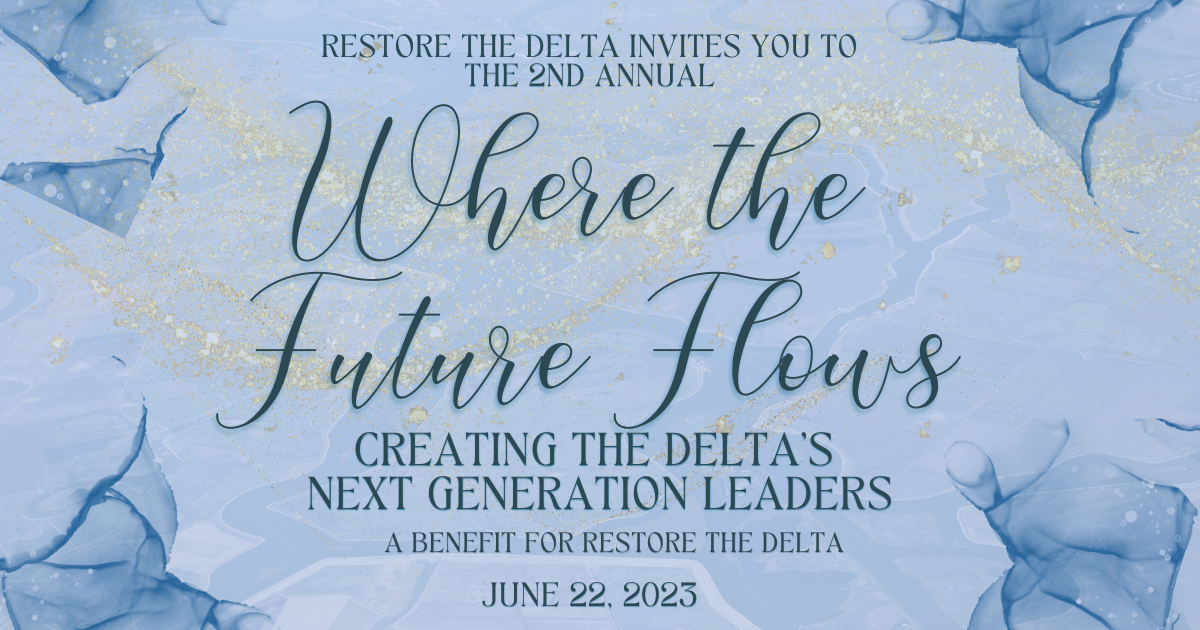 Where the Future Flows: Creating the Delta's Next Generation Leaders ...