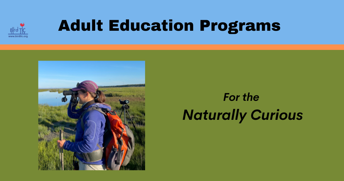 Adult Education Programs | Bird Treatment and Learning Center