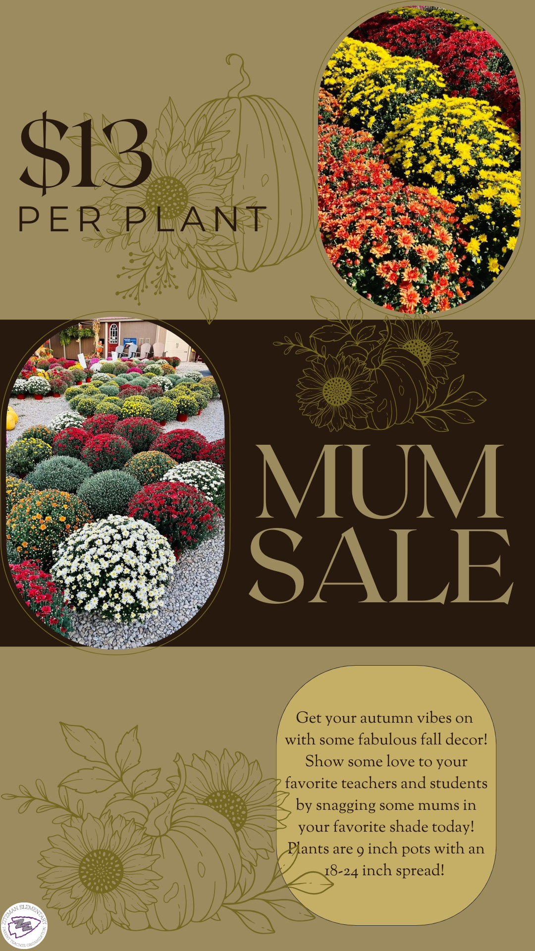 Fall Garden Mum Sale | Zitzman Elementary PTO