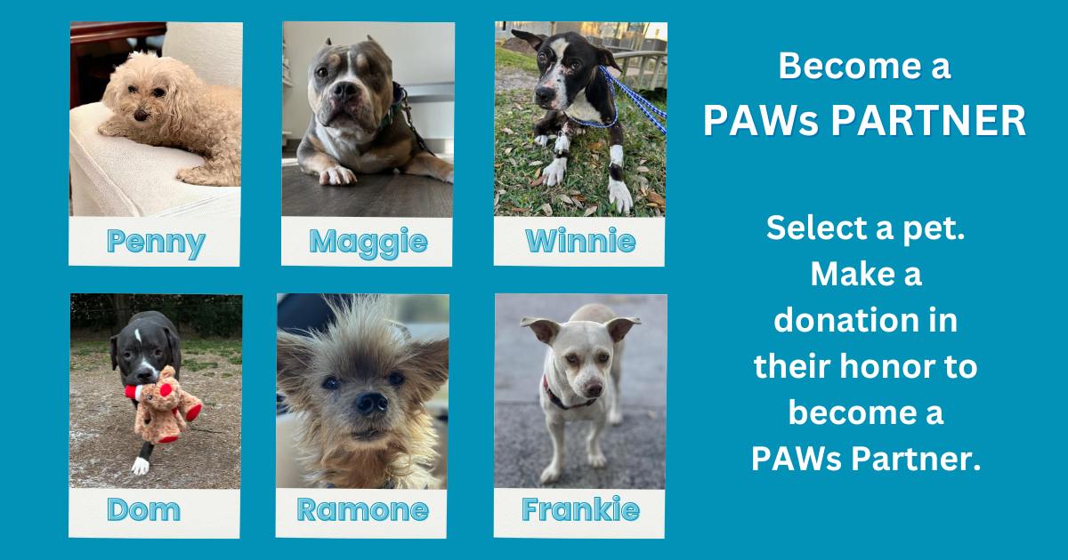Become A PAWs Partner