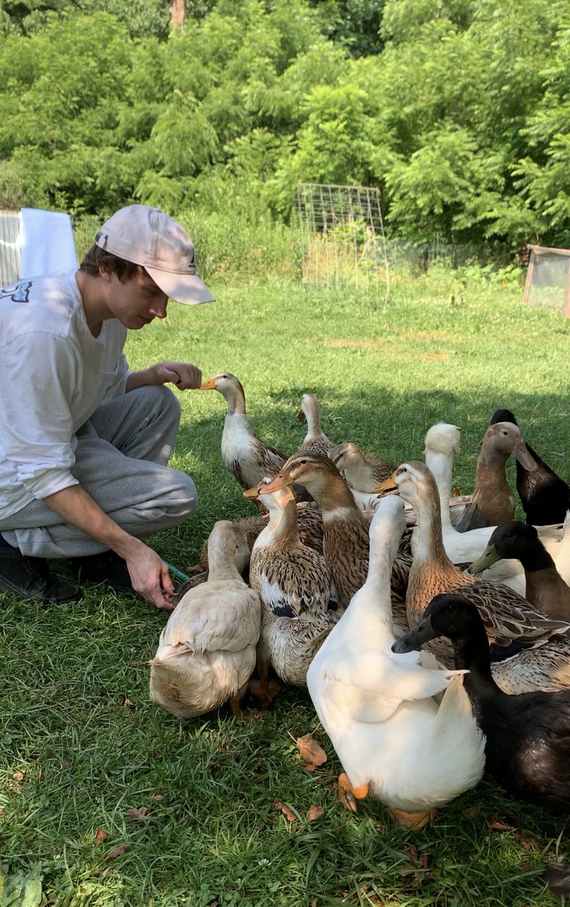 Tour Friendly Fields Farm Sanctuary