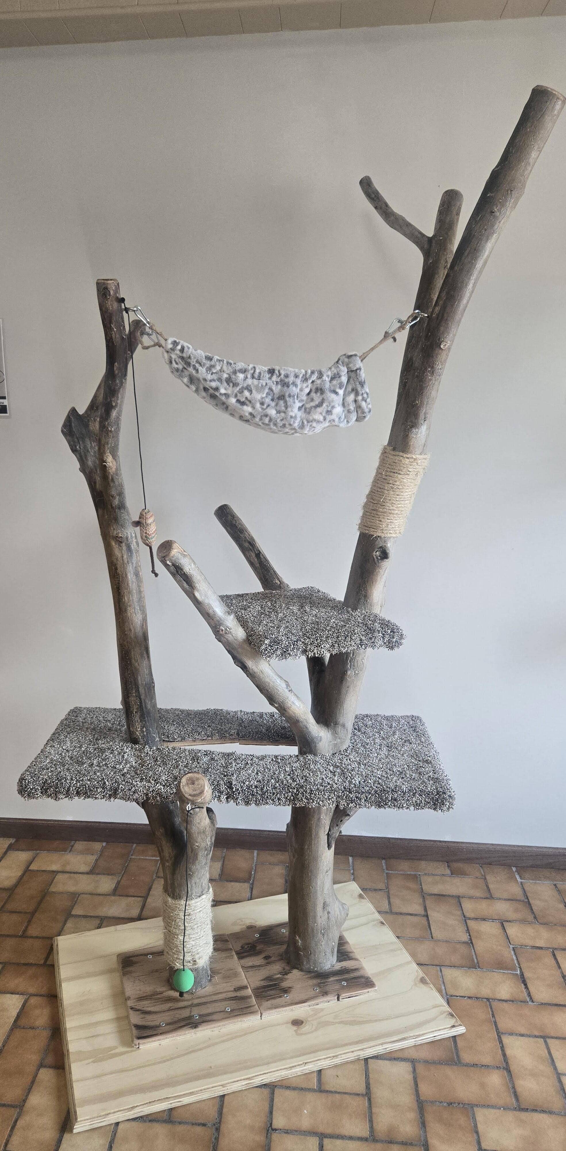 Cat Tree Raffle