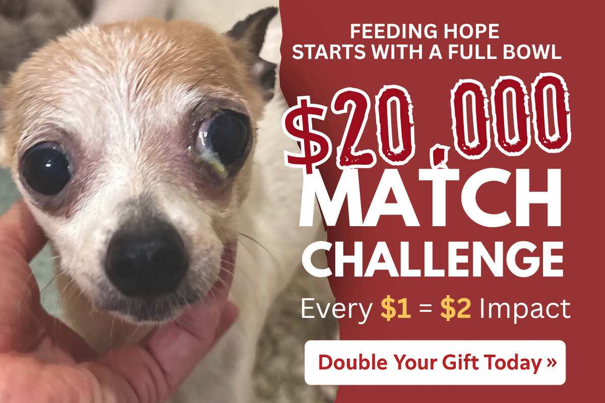 Feeding Hope Starts With a Full Bowl