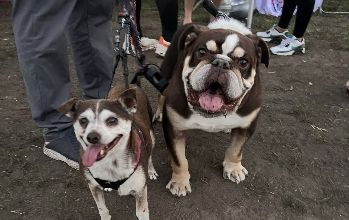 Real Good Heroes Needed for Real Good Dogs | Real Good Rescue Inc