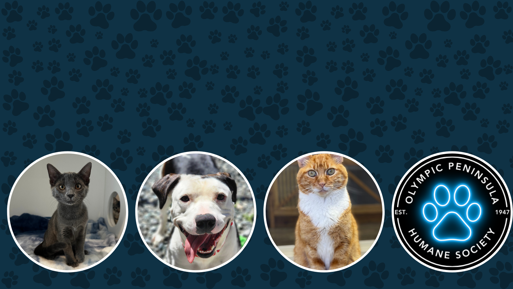 OPHS Benefit Concert & Silent Auction 2025 | Olympic Peninsula Humane ...